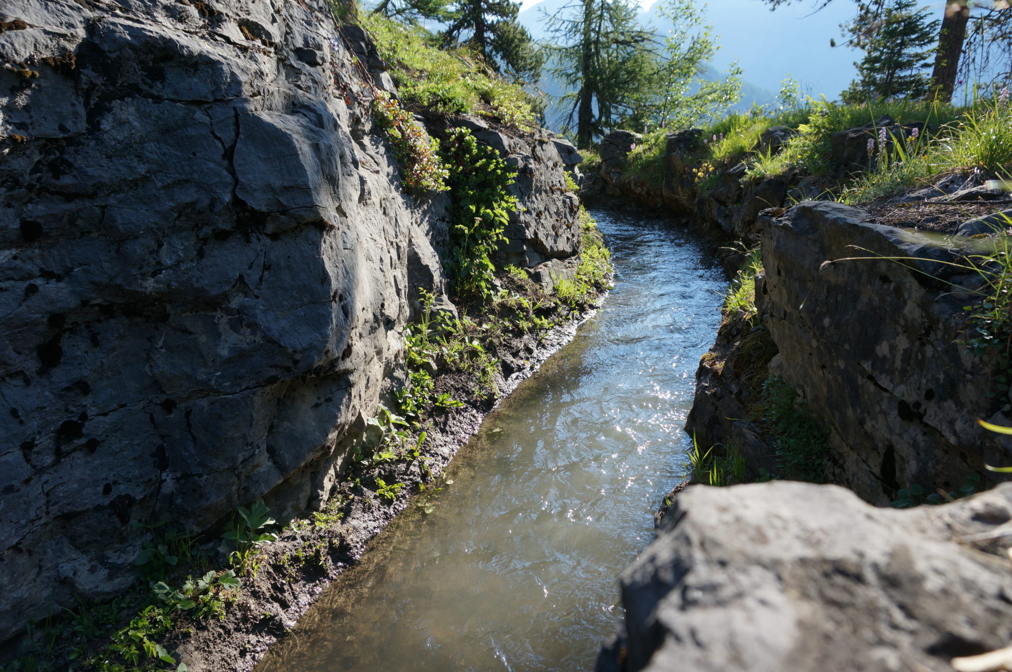 Qu'est ce qu'un bisse ? - Bisses du Valais
